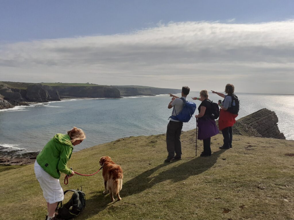 From Snowdon to the Gower, 5 Wales walking tours this autumn