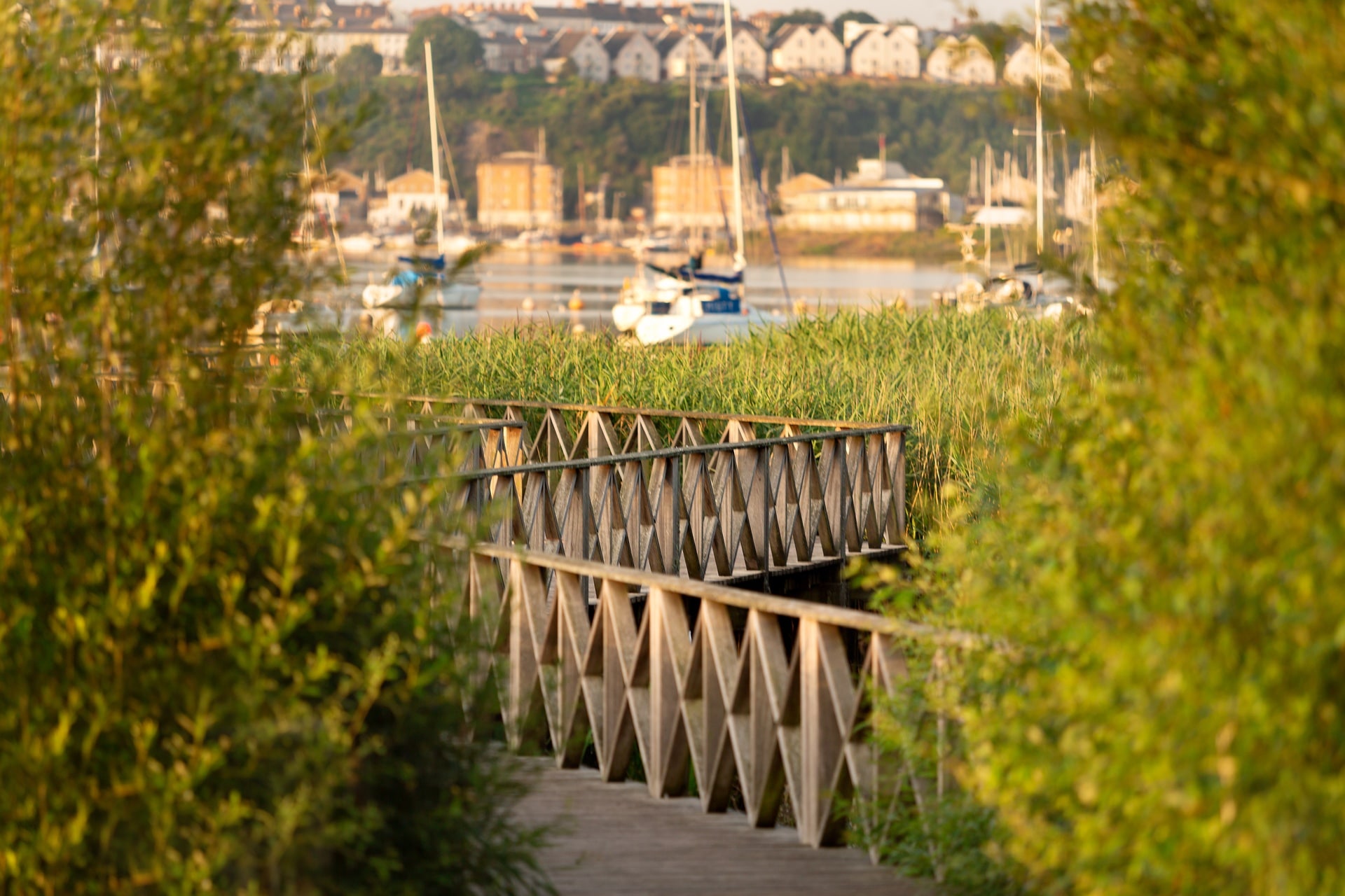 Best family-friendly winter walks in and around Cardiff - Buzz Mag
