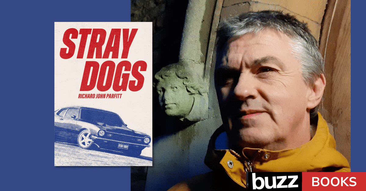 Stray Dogs review: coming-of-age thriller from Newport's Richard John ...