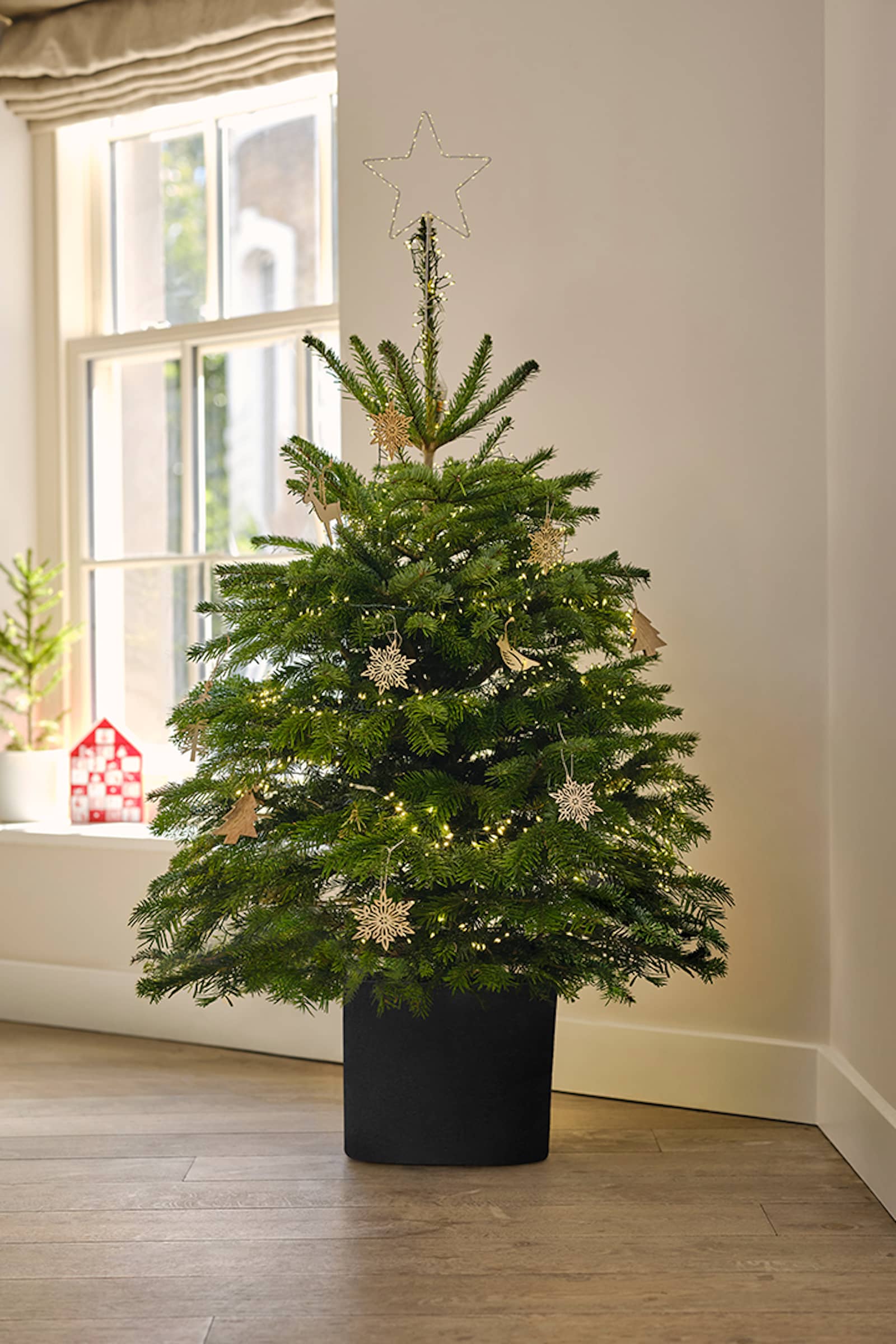 How to have a low-impact Christmas - Buzz Magazine
