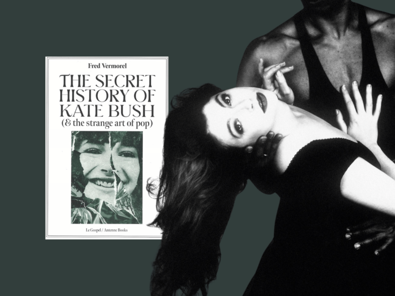 Early 80s book The Secret History Of Kate Bush returns to print