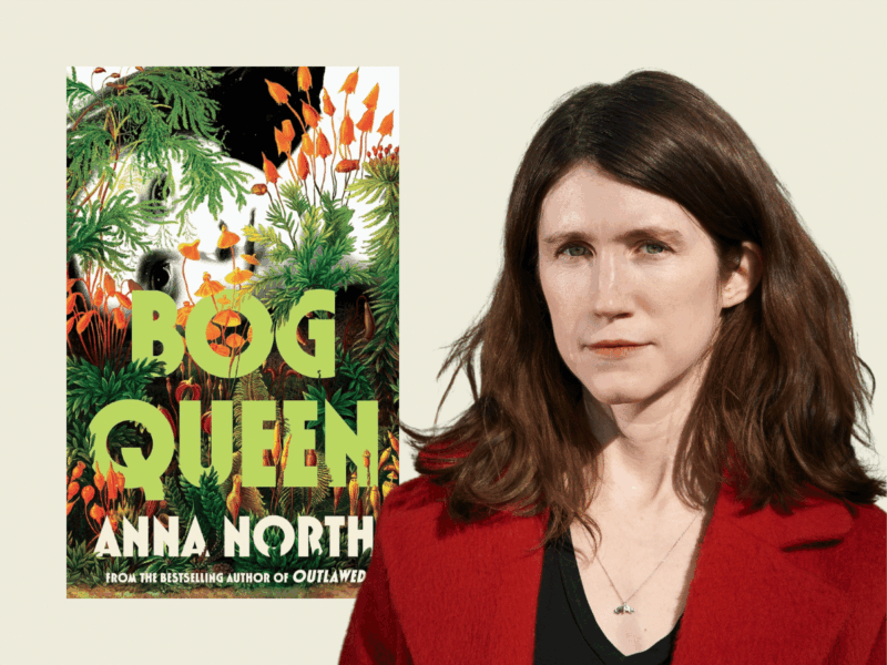 Anna North triumphs with her swampy, druidic novel Bog Queen