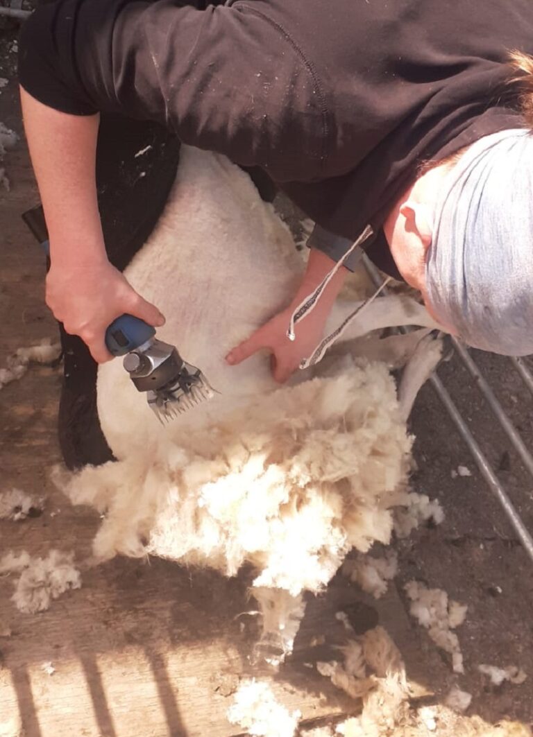 How is Welsh wool spinning towards a more sustainable future?